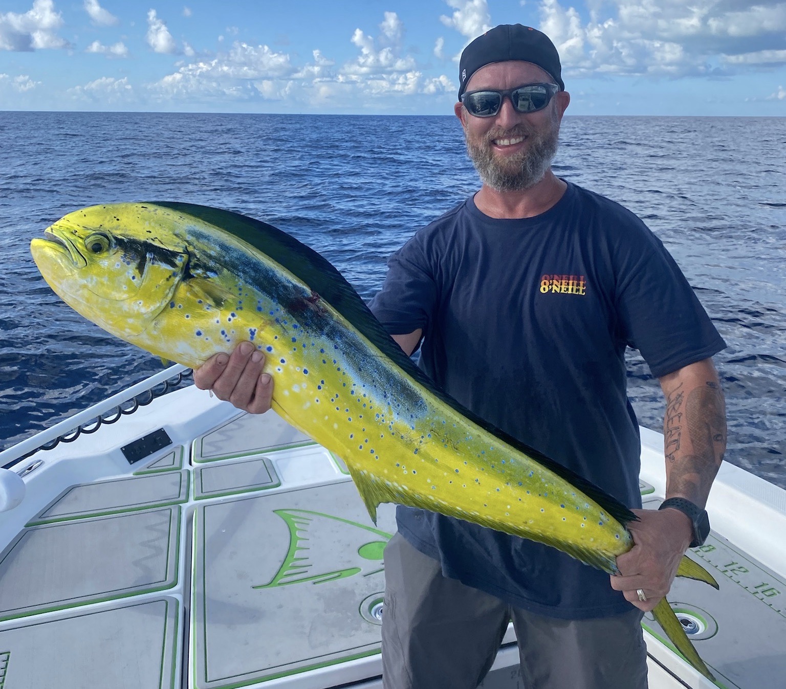 Everything You Need to Know About Mahi Mahi Season 2022