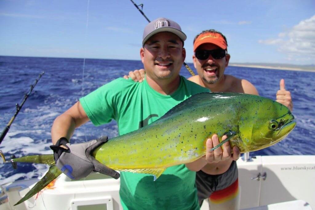 Deep Sea Fishing Cabo San Lucas: Fishing With No Off Season