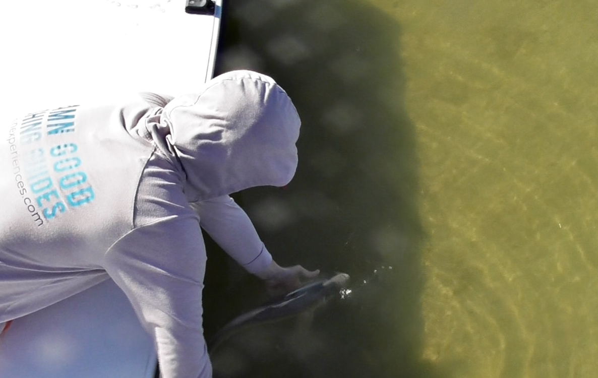 How to Catch & Release Fish