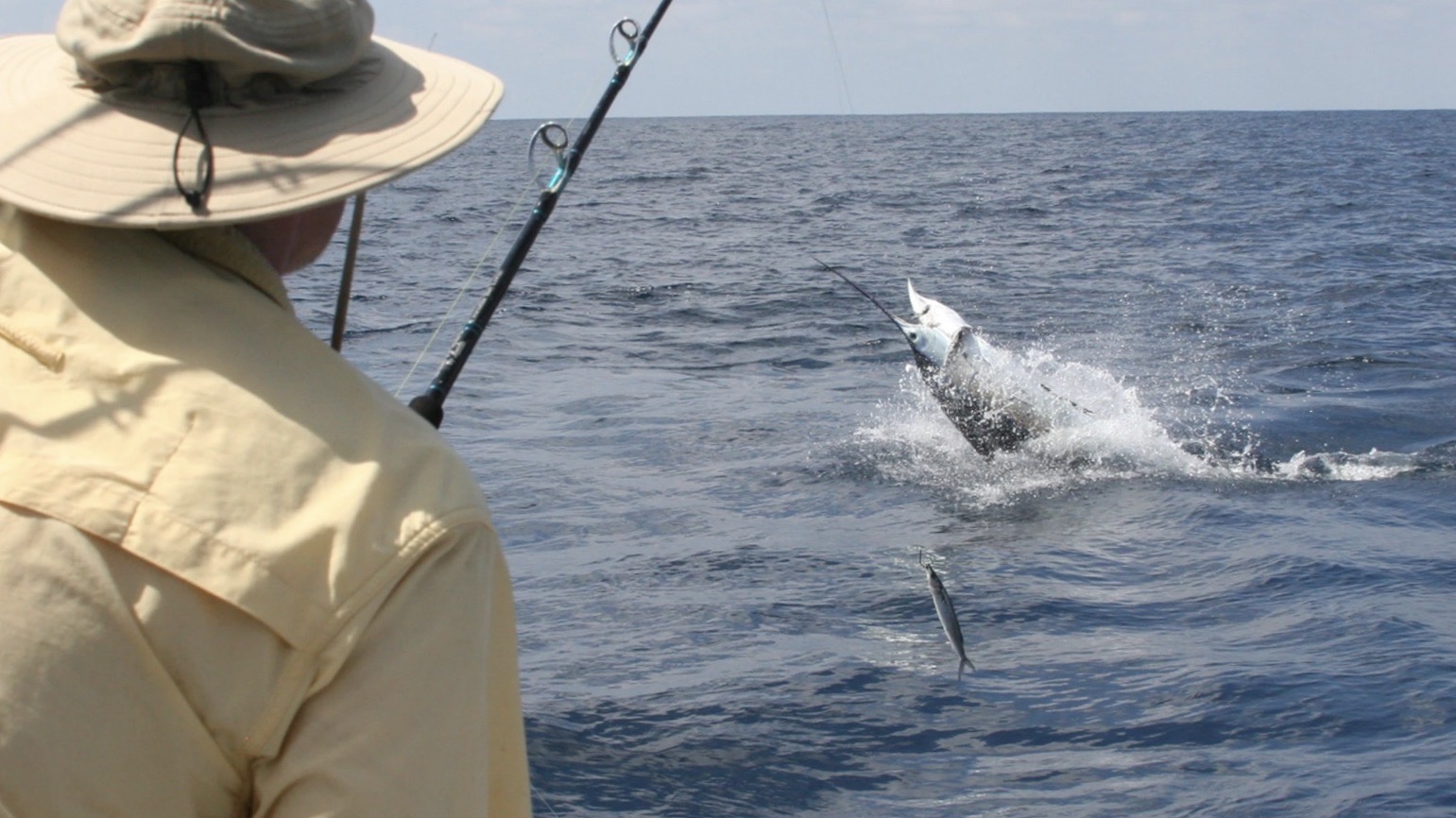 The Hardest Fish To Catch