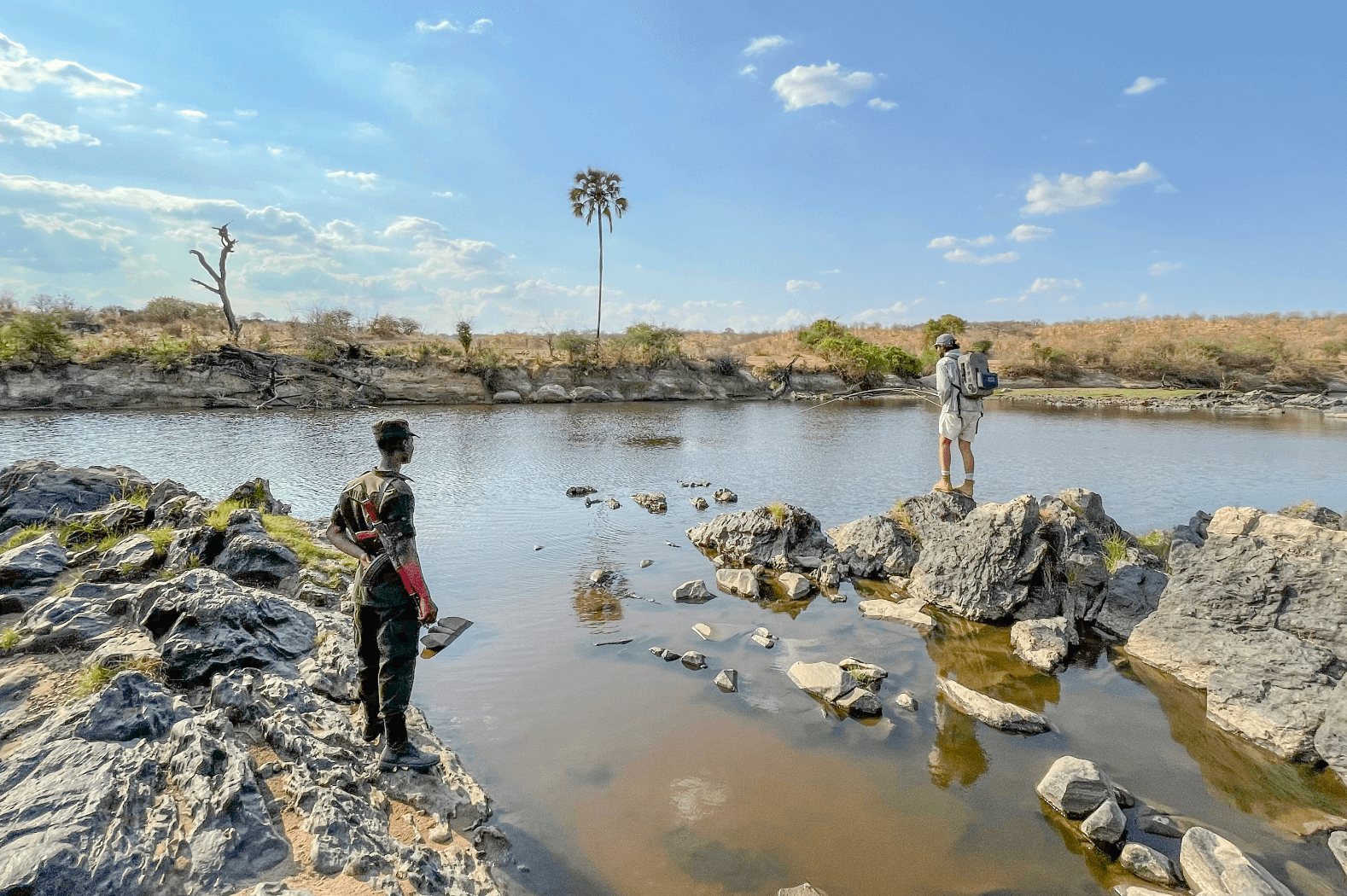 Part 2: A Primer on Tigerfish Behavior