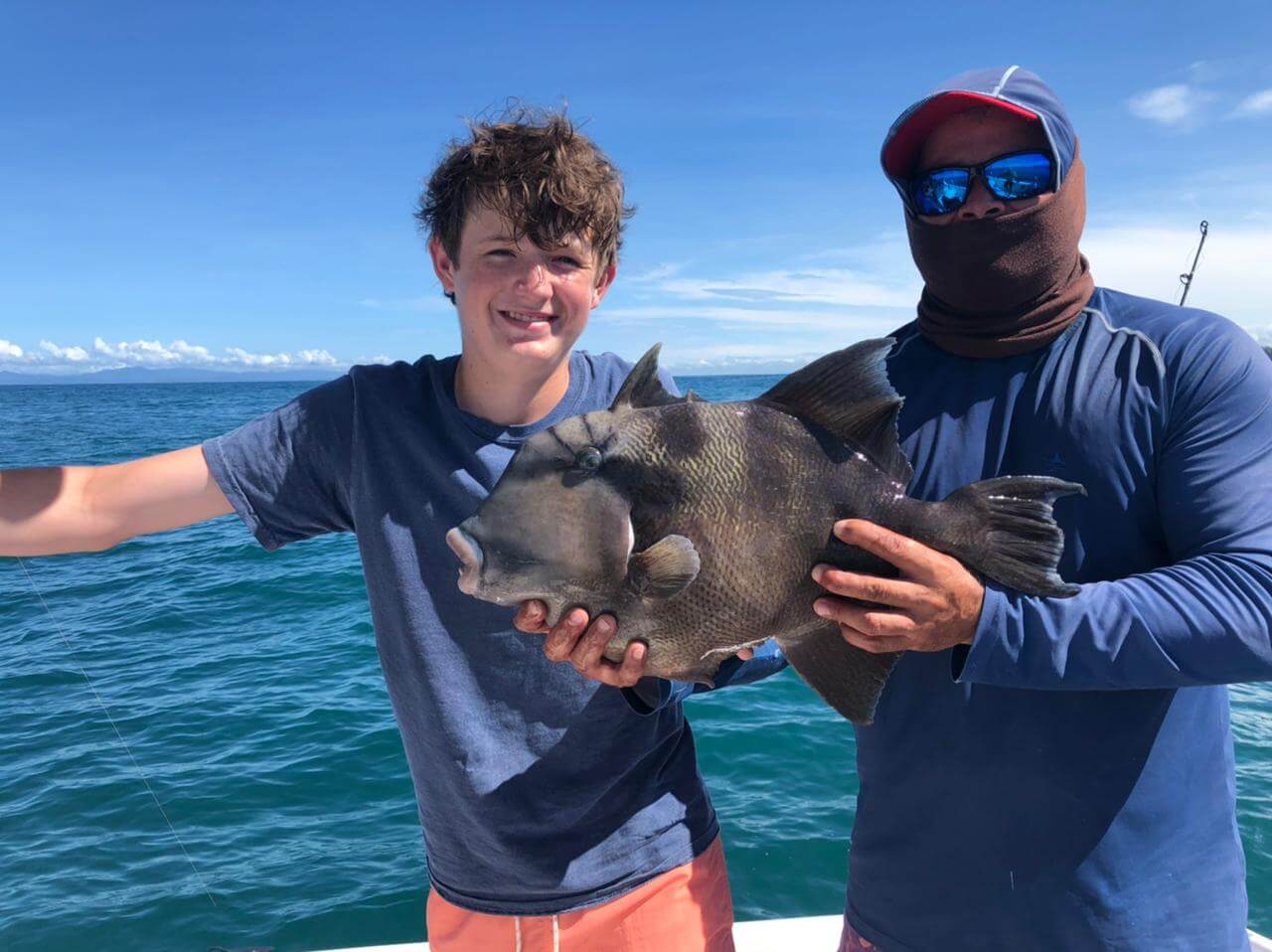 Everything You Need To Know About Triggerfish