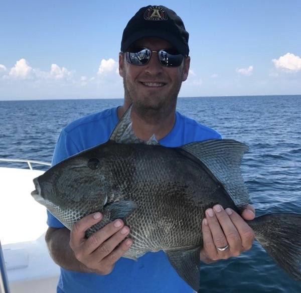 Everything You Need to Know About Triggerfish