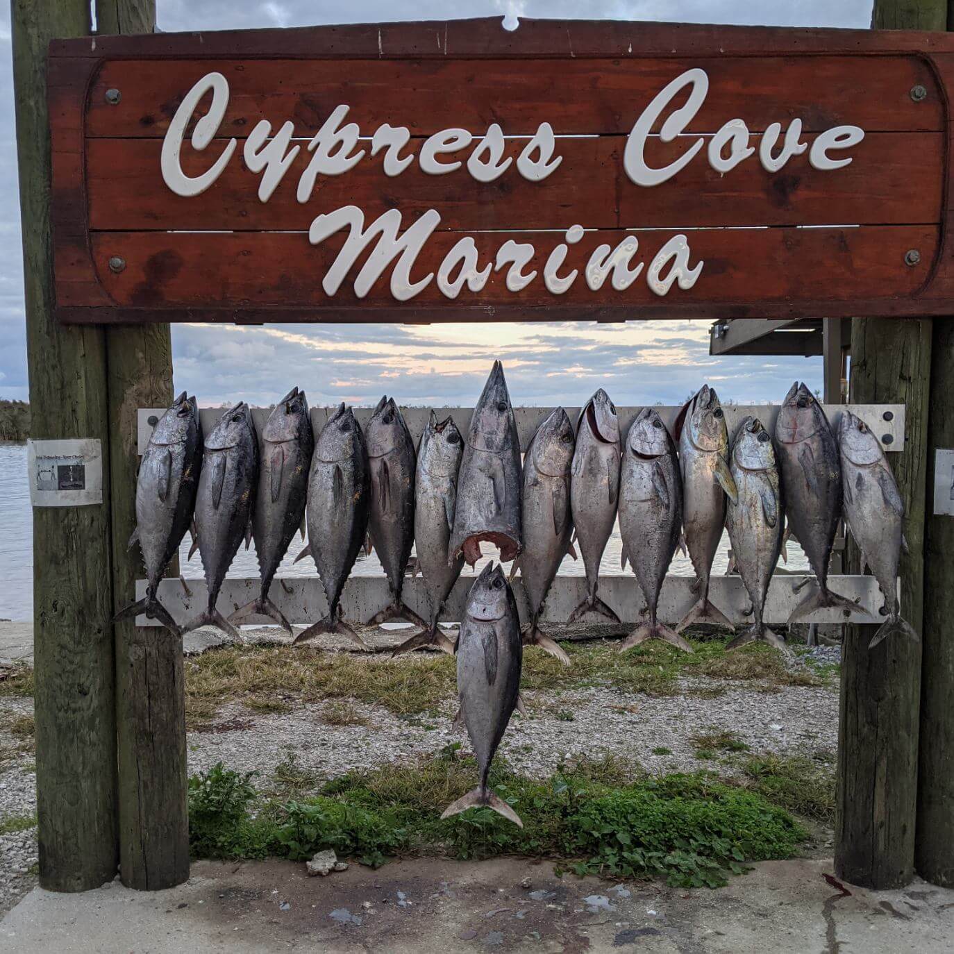 Big Ol Mess: Fishing Reports Across The Us - 12/16/2020