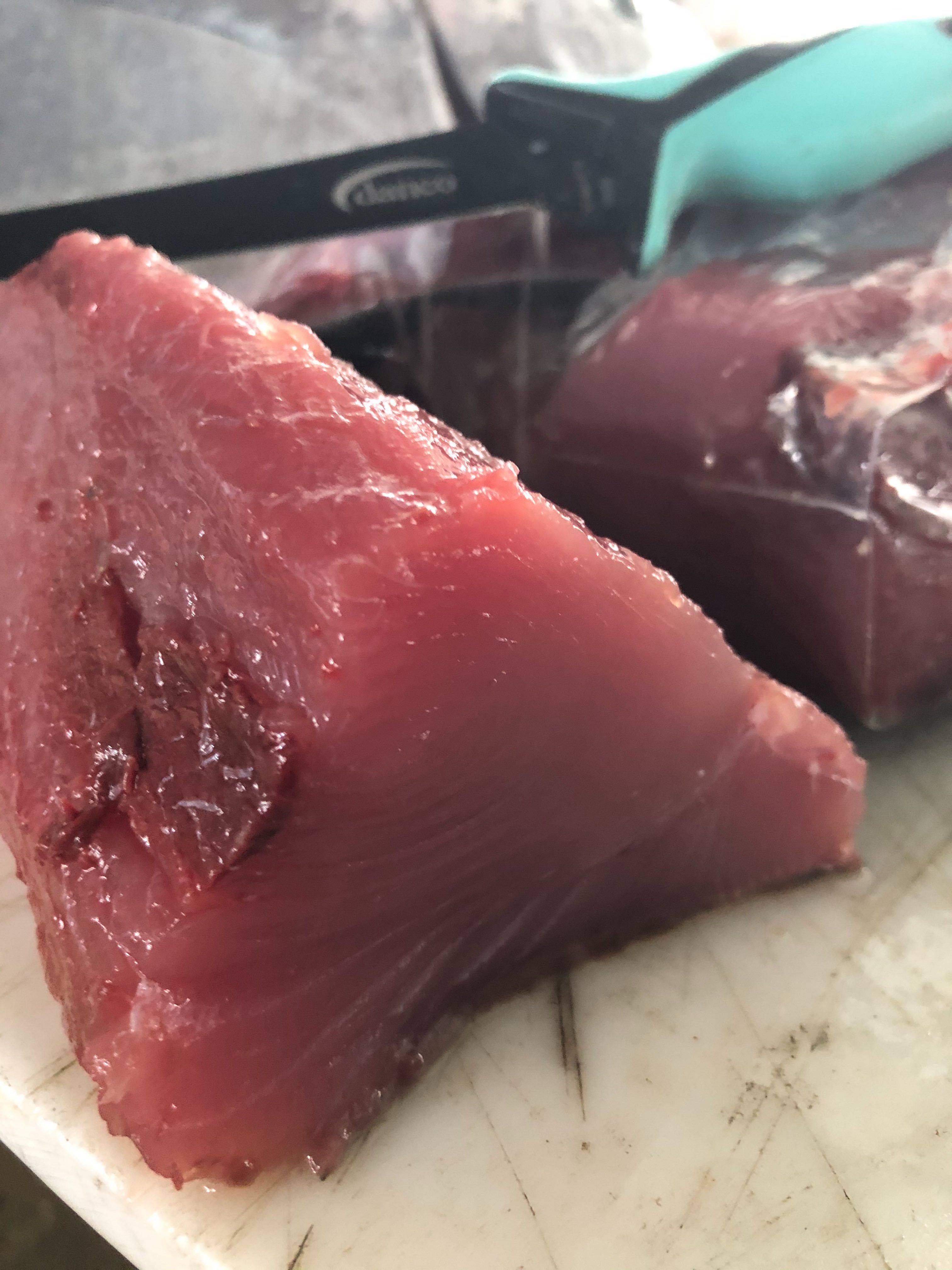 Texas Tuna Fishing Catch & Cook