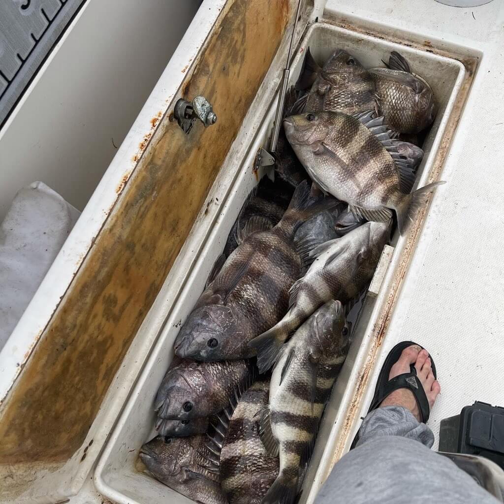 The Big Ol Mess: #1 Fishing Report for New Smyrna Beach, Islamorada & More!