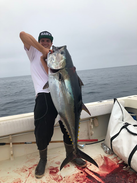 Giant West Coast BlueFin Tuna! Catch and Cook?