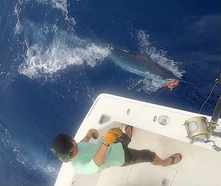 The Big Ol Mess: #1 Fishing Report for Calcasieu Lake, Dallas & More!