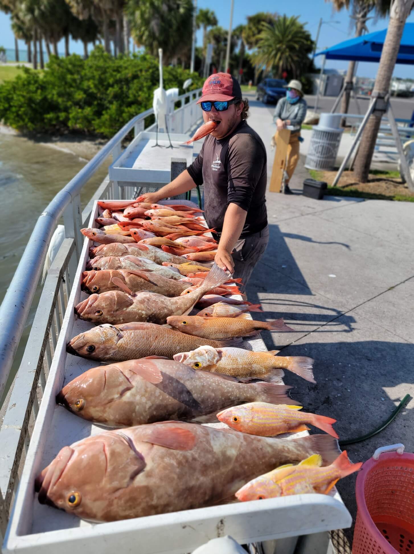 The Big Ol Mess: #1 Fishing Report for Asheville, Rockport & More!