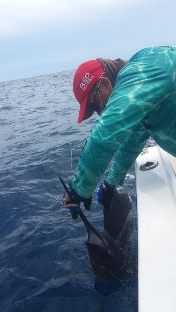 The Big Ol Mess: #1 Fishing Report for Panama City Beach, Dauphin ...