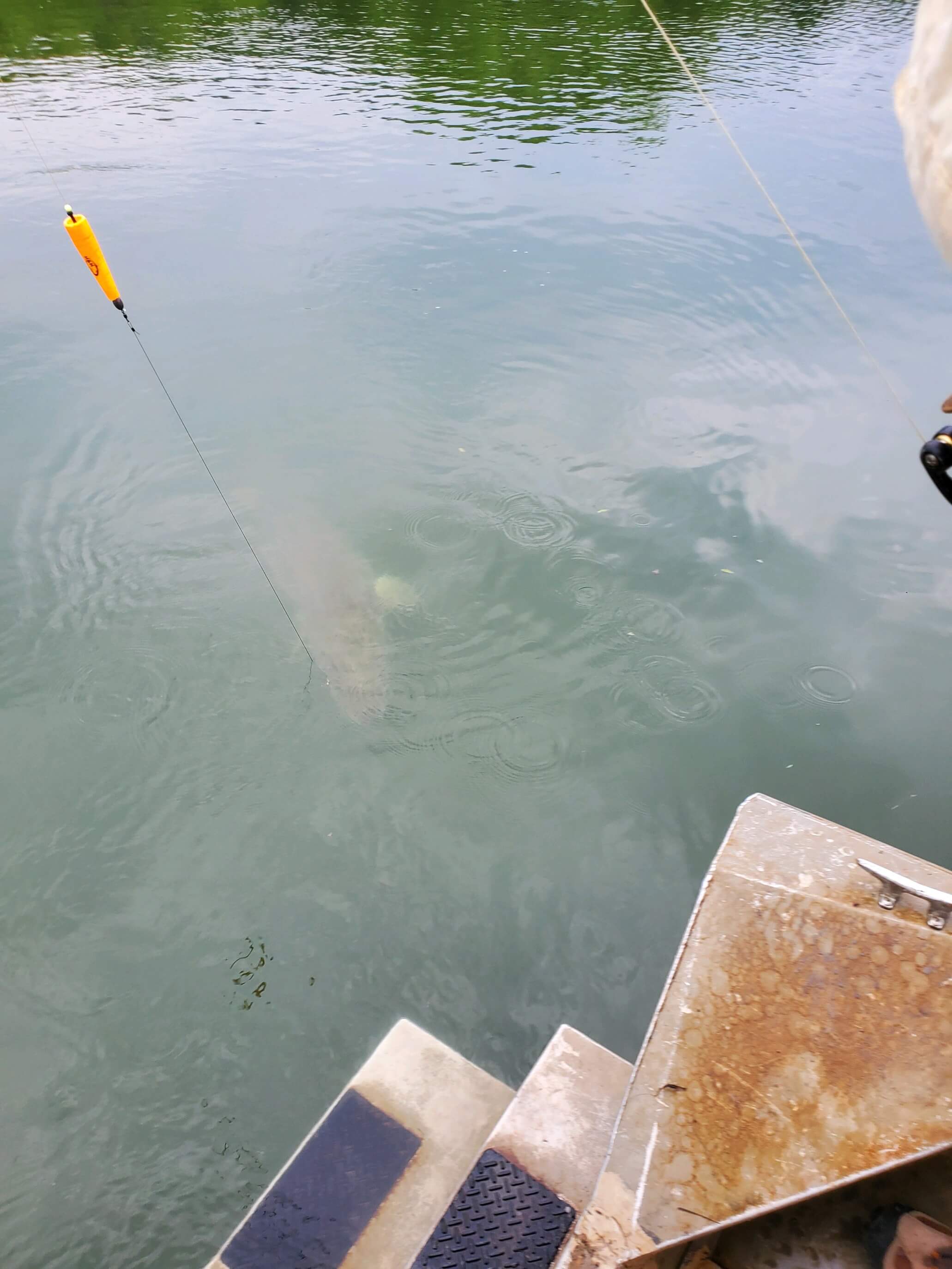 The Big Ol Mess: #1 Fishing Report For Clearwater, Galveston & More!