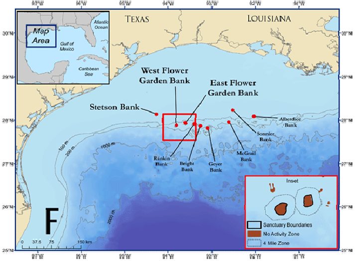 Galveston Fishing Charters Explained: The Damn Good Guide to Galveston