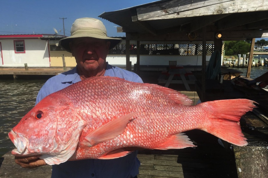 Red Snapper Season 2022: Details And Where To Go