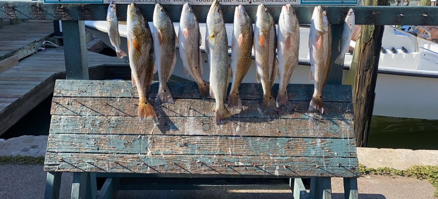 The Big Ol Mess: #1 Fishing Report for Corsicana, Knoxville & More!