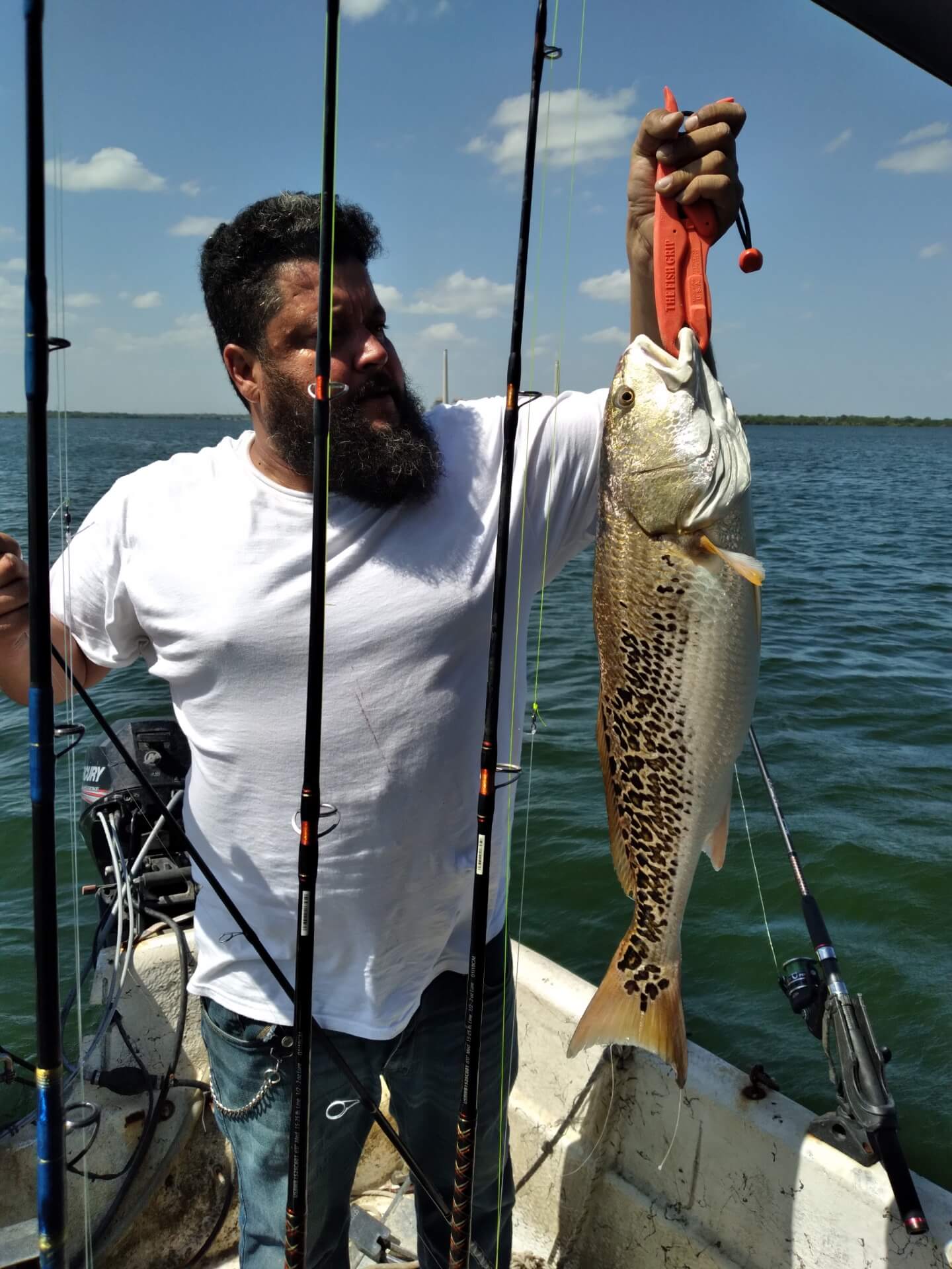 The Big Ol Mess: #1 Fishing Report for Corsicana, Knoxville & More!