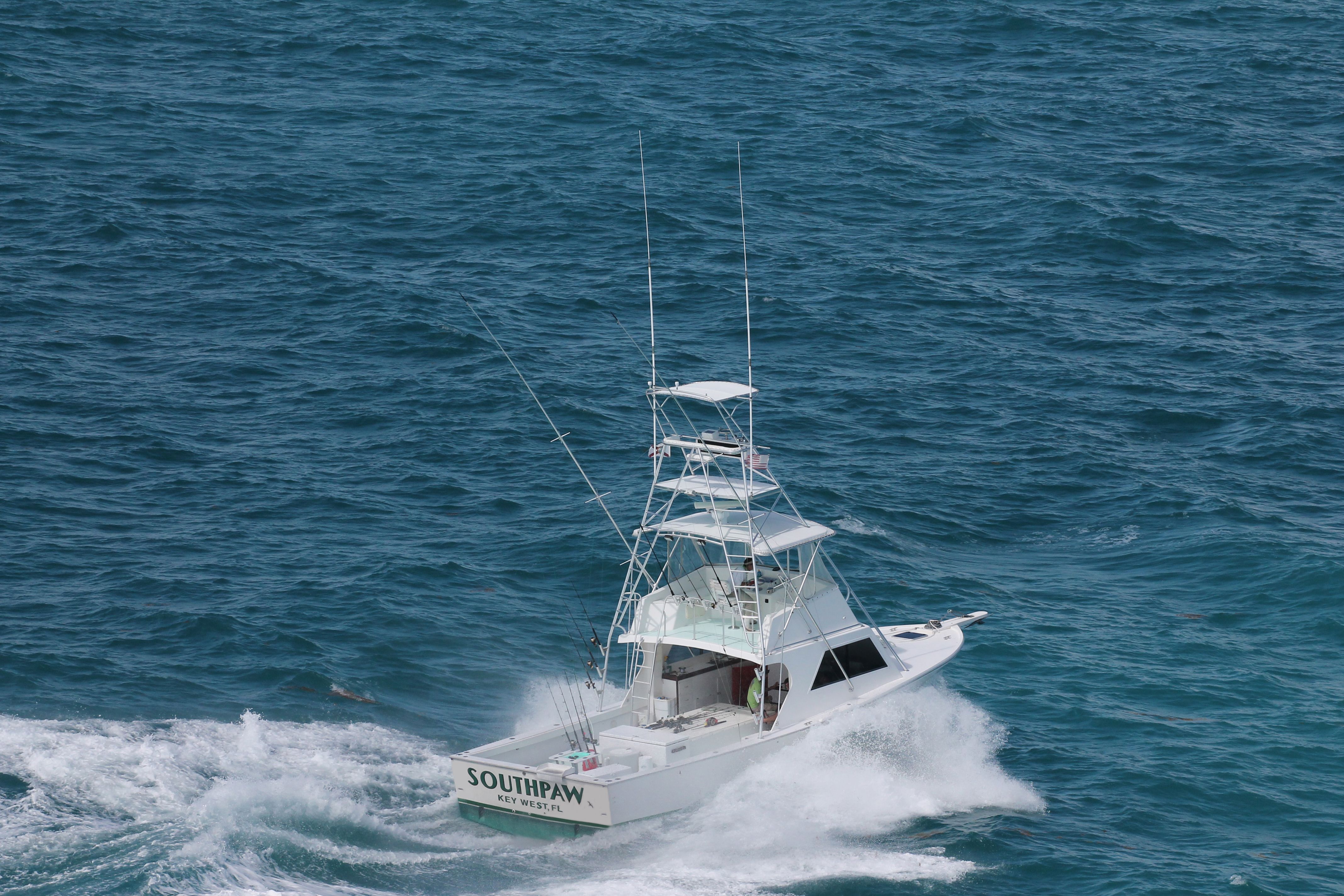 How to Catch Skipjack Tuna & Skipjack Tuna Fishing Charters