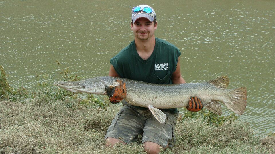 How to Catch Alligator Gar & Alligator Gar Fishing Guides