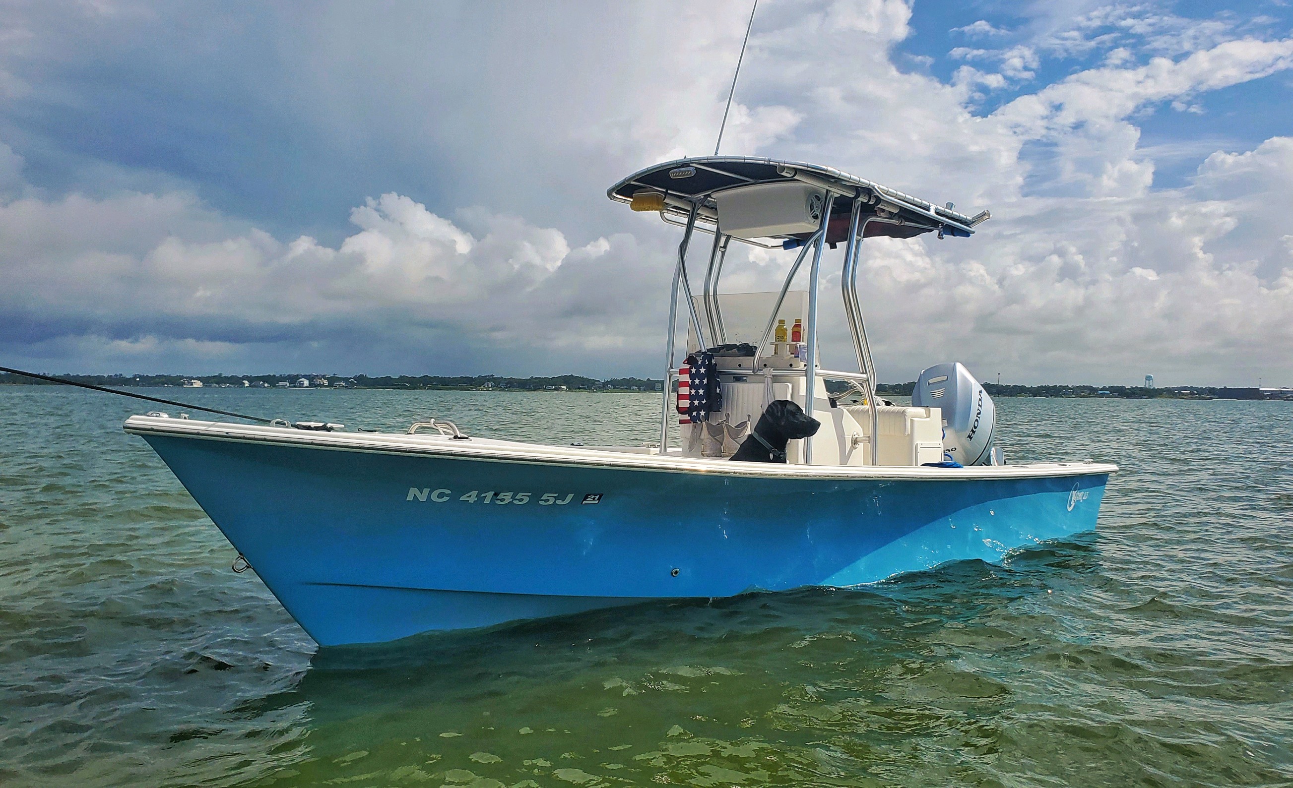Bonito Vs Skipjack Tuna Vs Little Tunny: What’s The Difference?