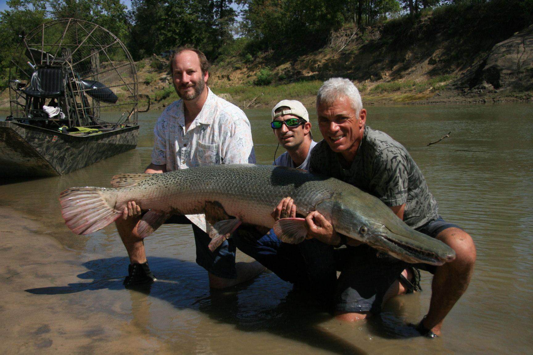 Alligator Gar Fishing In Texas: When To Go & What To Know?
