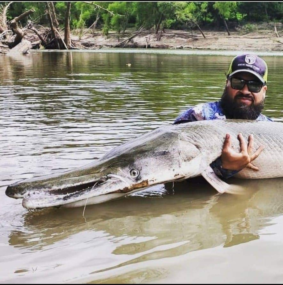 The 15 Best Alligator Gar Fishing Guides in Texas