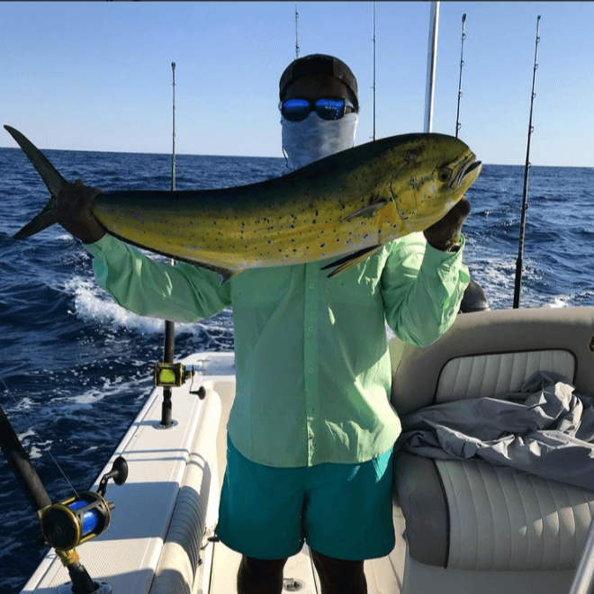 The 15 Best Deep Sea Fishing Charters in Charleston