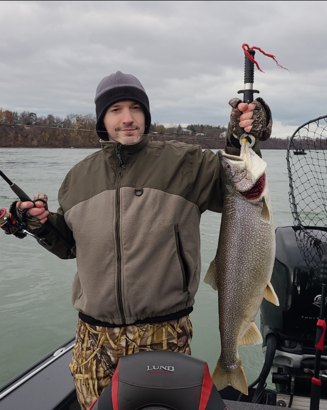 Everything You Need To Know About Yellow Perch
