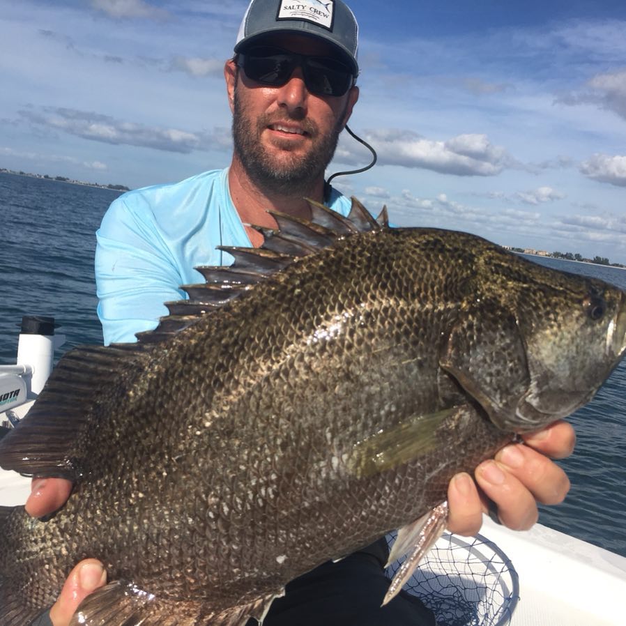 The 10 Most Popular Fish To Catch In Sarasota, Florida