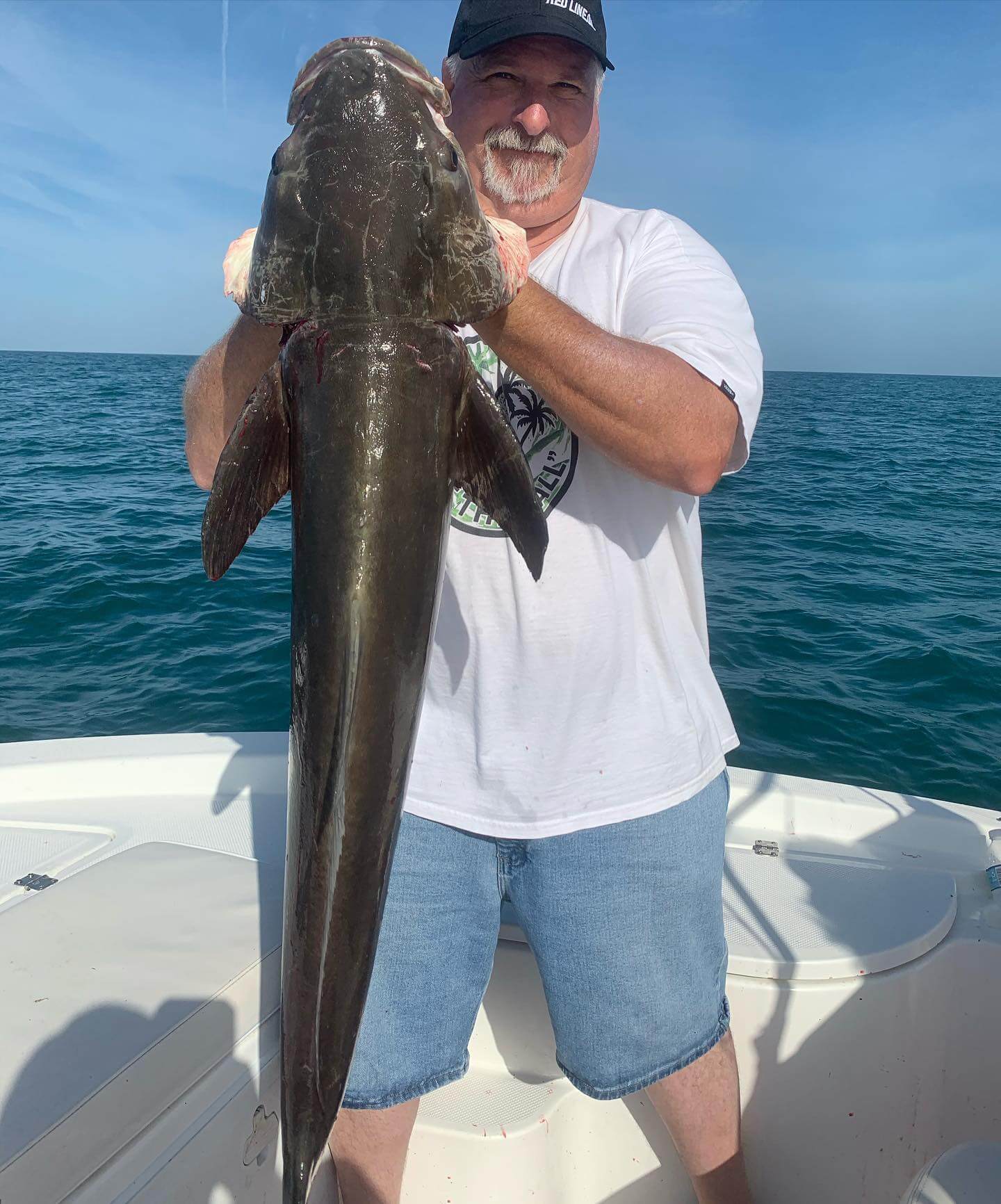 The 10 Most Popular Fish To Catch In Sarasota, Florida
