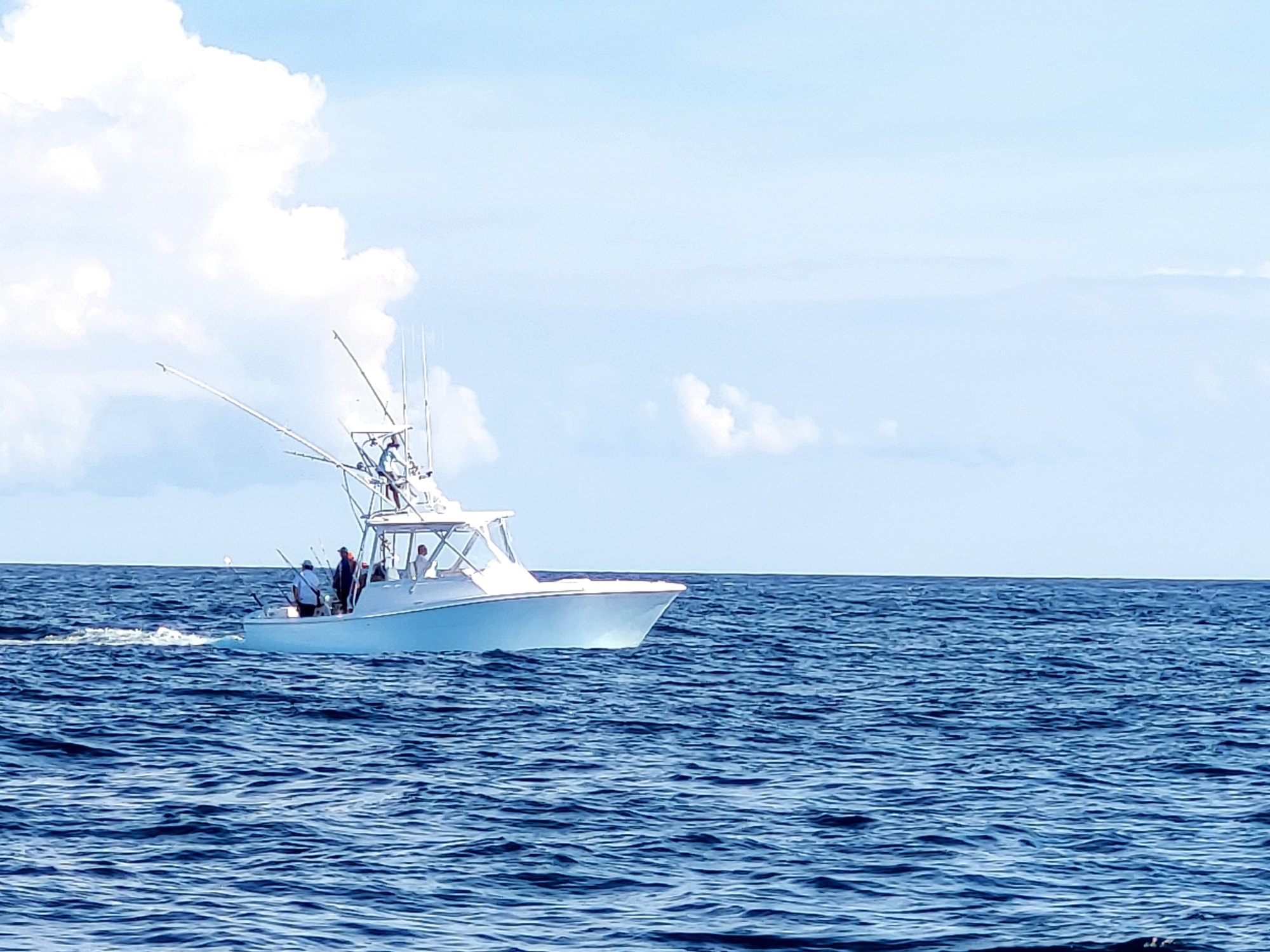 The 15 Best Deep Sea Fishing Charters in North Carolina