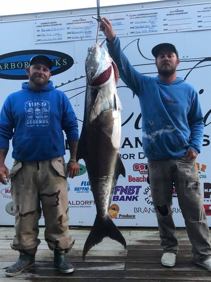 Fish In Destin Florida: Most Popular Species To Catch