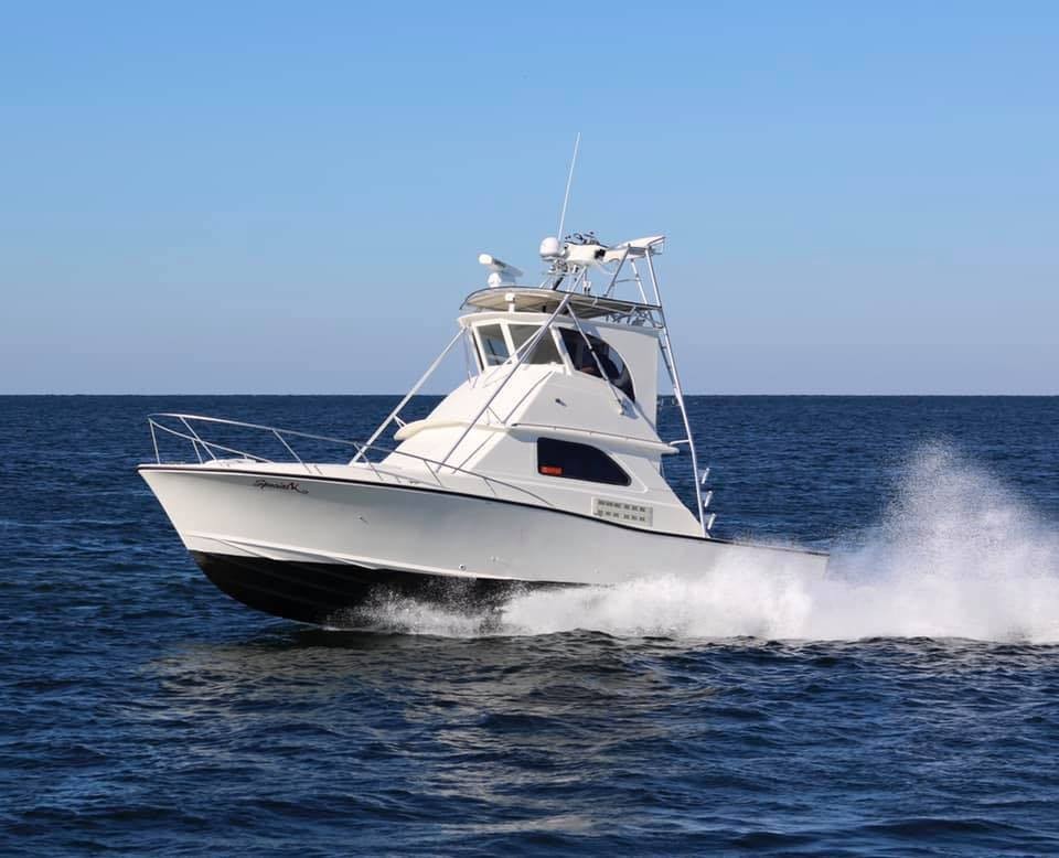 Bonito Vs Skipjack Tuna Vs Little Tunny: What’s The Difference?