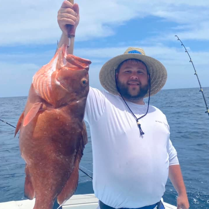 Bonito Vs Skipjack Tuna Vs Little Tunny: What’s The Difference?