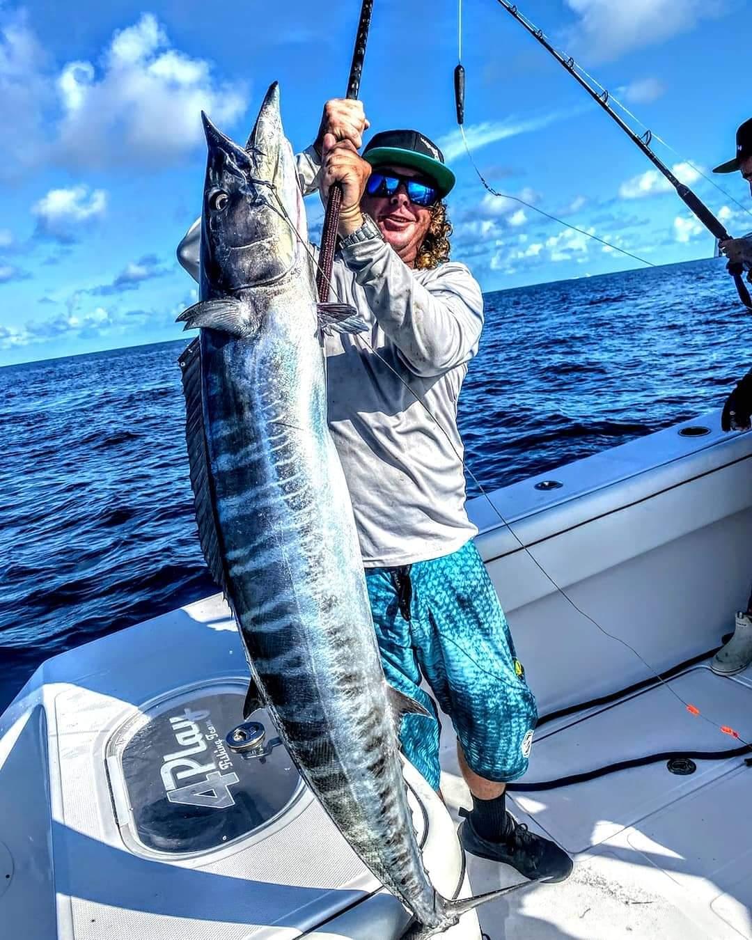 Tuna Compared: Yellowfin Vs Bluefin Vs Blackfin