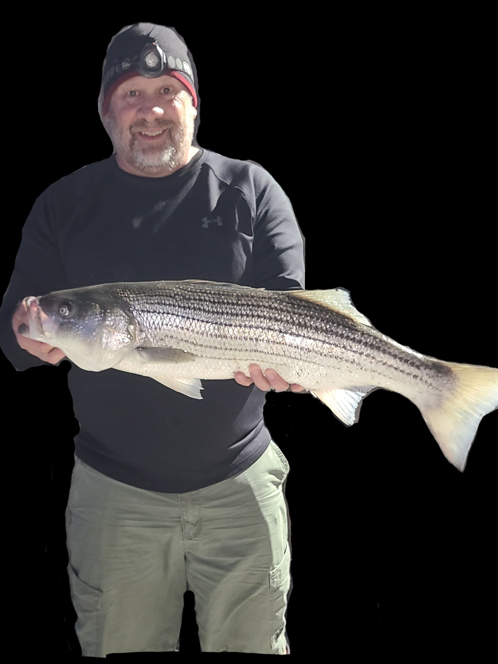 Everything You Need To Know About Yellow Perch