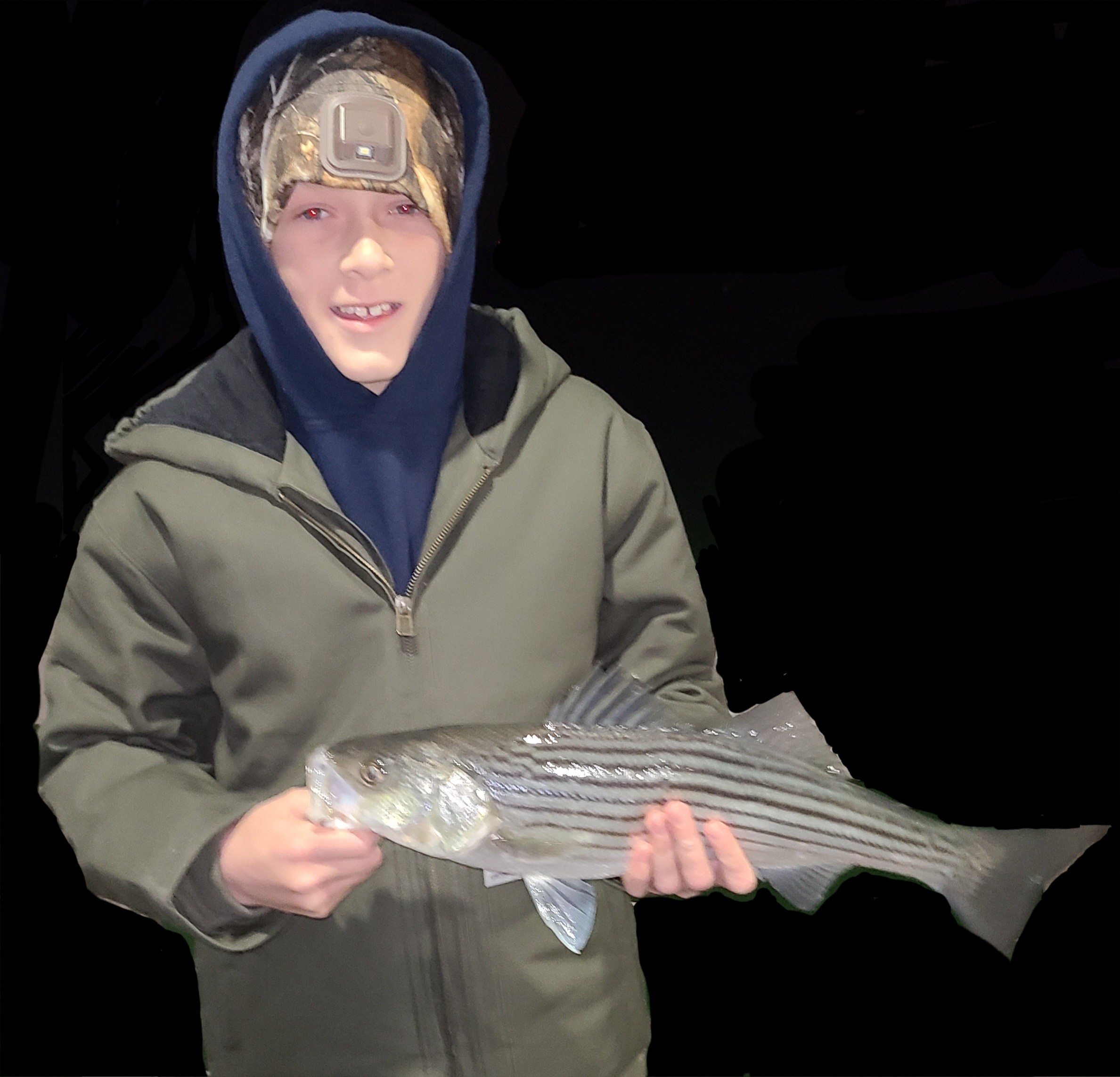 Everything You Need To Know About Yellow Perch