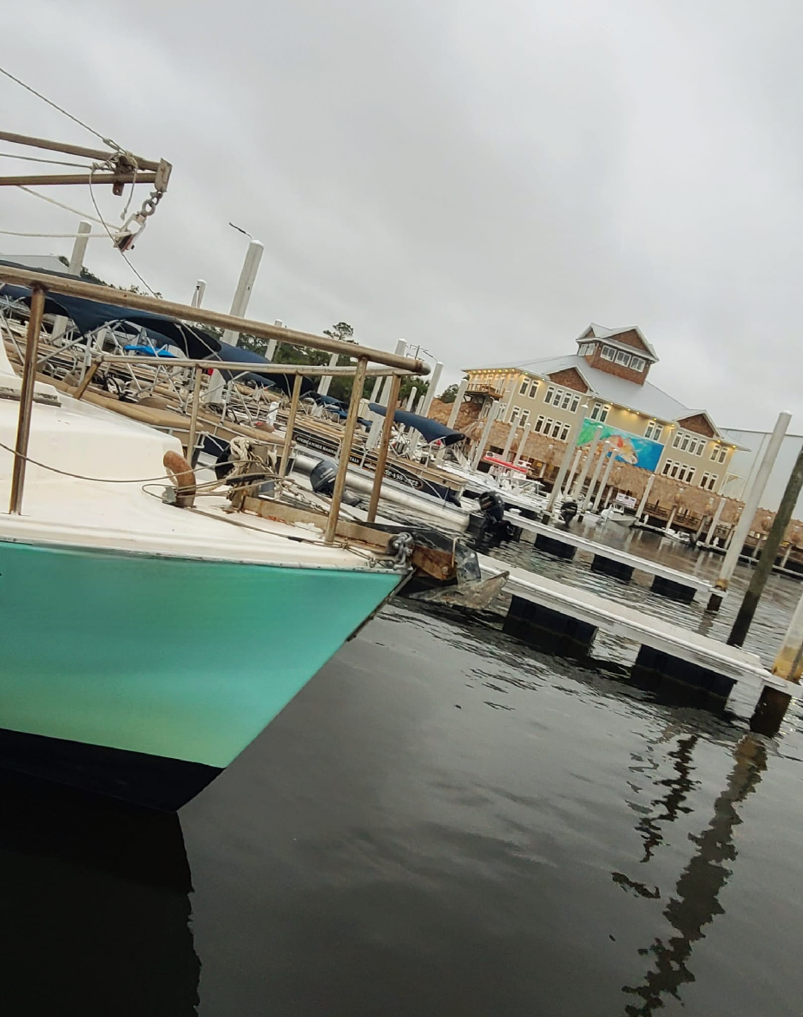 The 15 Best Scallop Fishing Charters in Florida