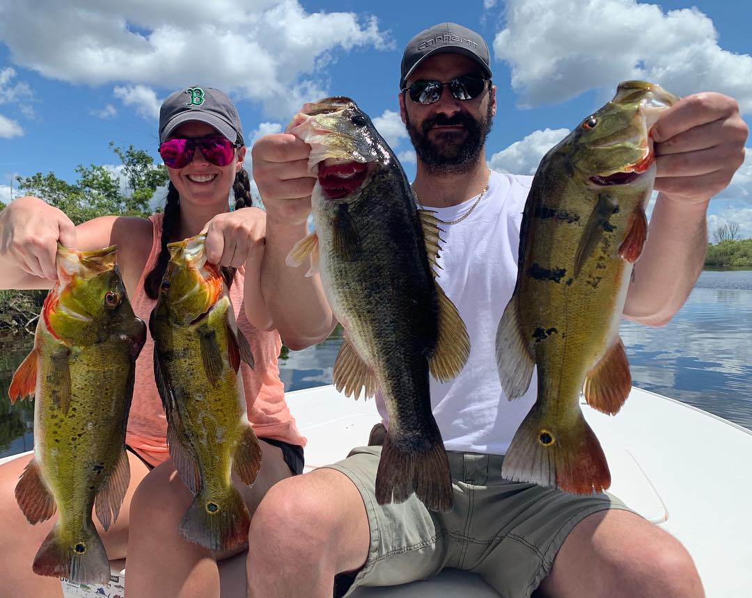 The 15 Best Iguana Hunting Guides in Florida