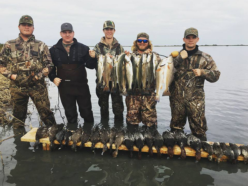 How to Catch Cinnamon Teal & Cinnamon Teal Hunting Guides
