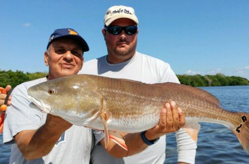 The 10 Most Popular Fish To Catch In Tampa, Florida