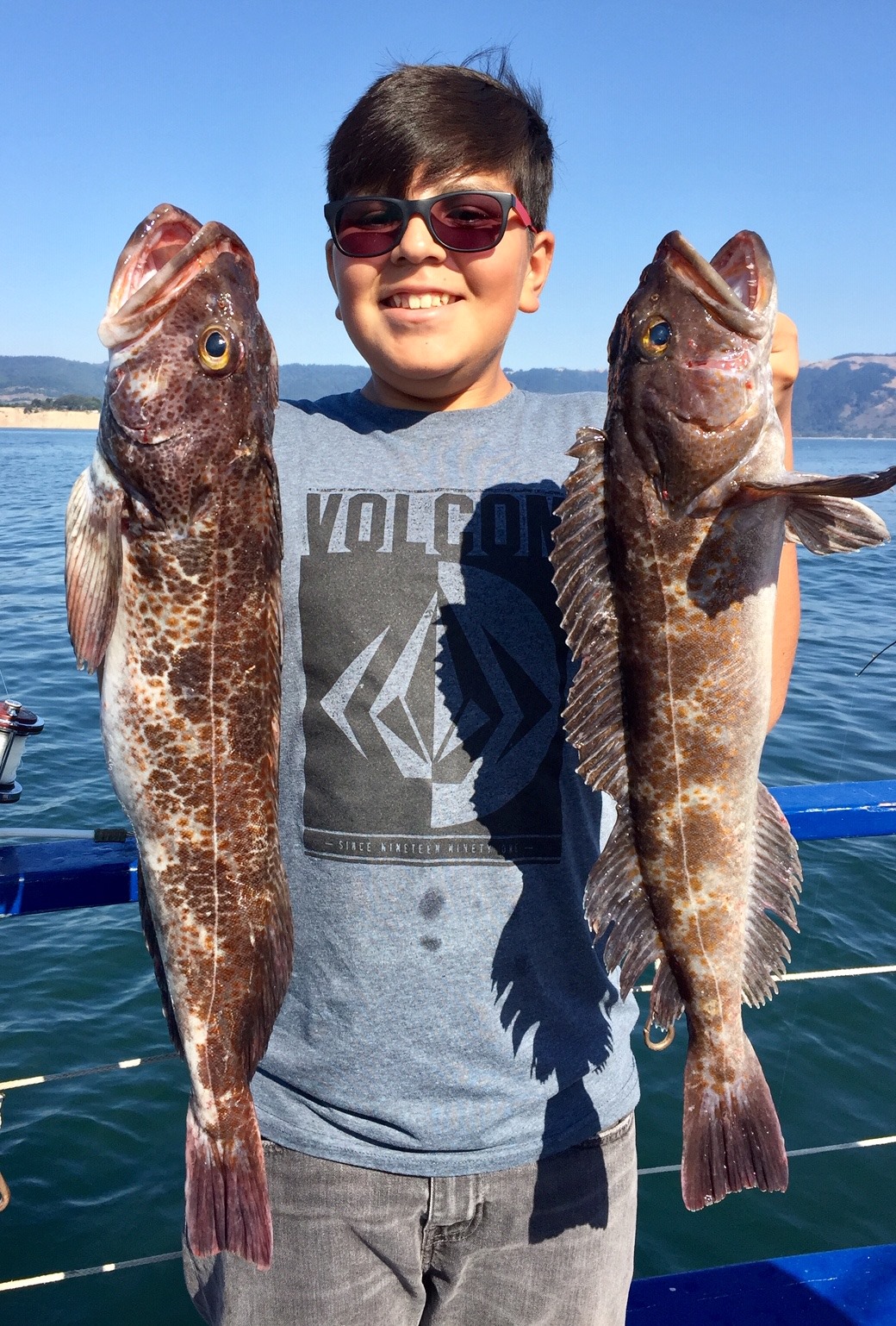 Flounder Vs Fluke Vs Halibut: What's The Difference?