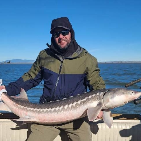 How to Catch Sturgeon & Sturgeon Fishing Guides