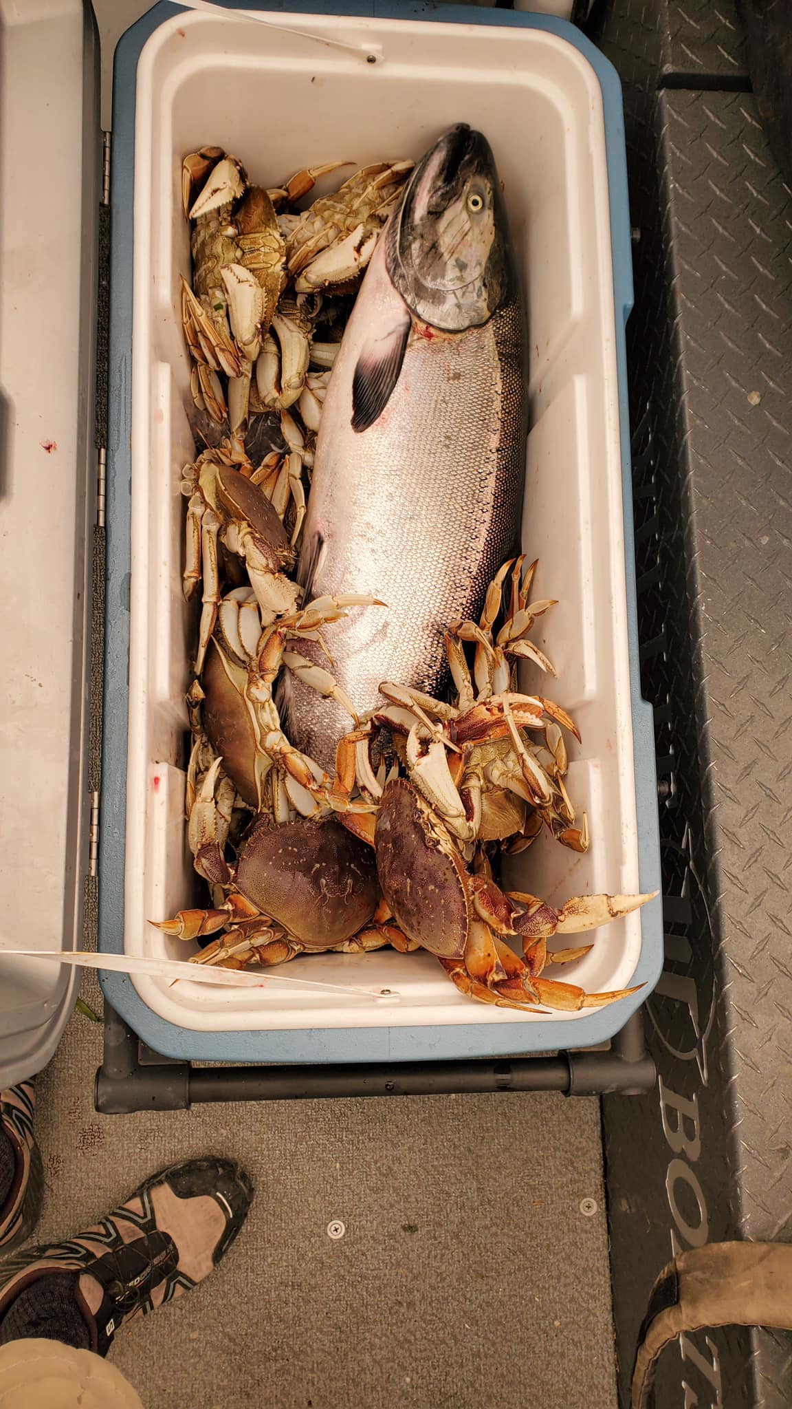 The 14 Best Fishing Charters in Garibaldi, OR