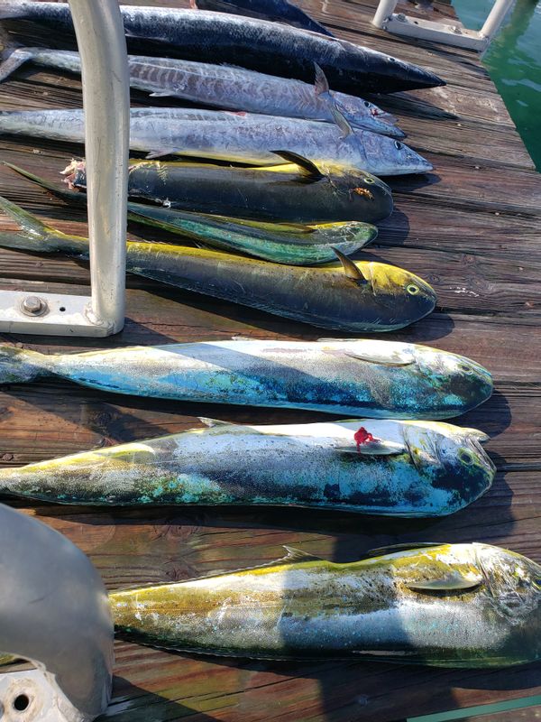 The 14 Best Fishing Charters in Nassau, The Bahamas