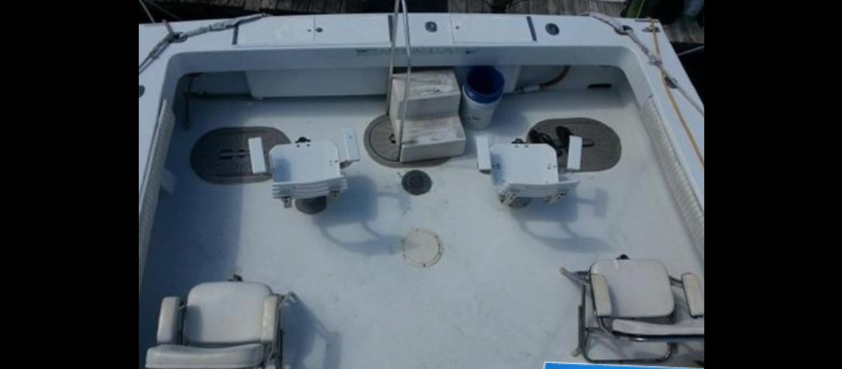 7 Types Of Trevally: Everything You Need To Know