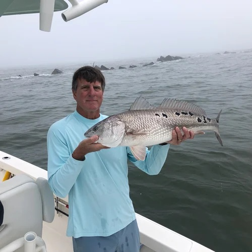 The 15 Best Tarpon Fishing Charters in Florida