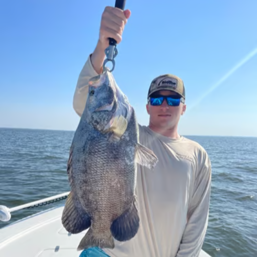 Jack Crevalle Fishing Charters in Apalachee Bay