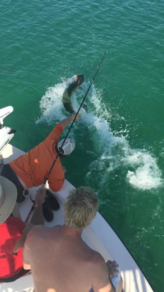The 5 Best Beaches For Fishing In Clearwater, Florida