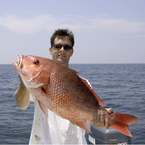 Red Snapper Fishing Charters in Ship Island