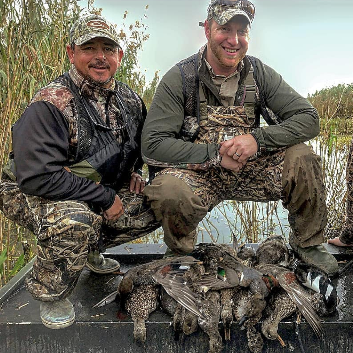 The 7 Best Northern Pintail Hunting Guides in Venice