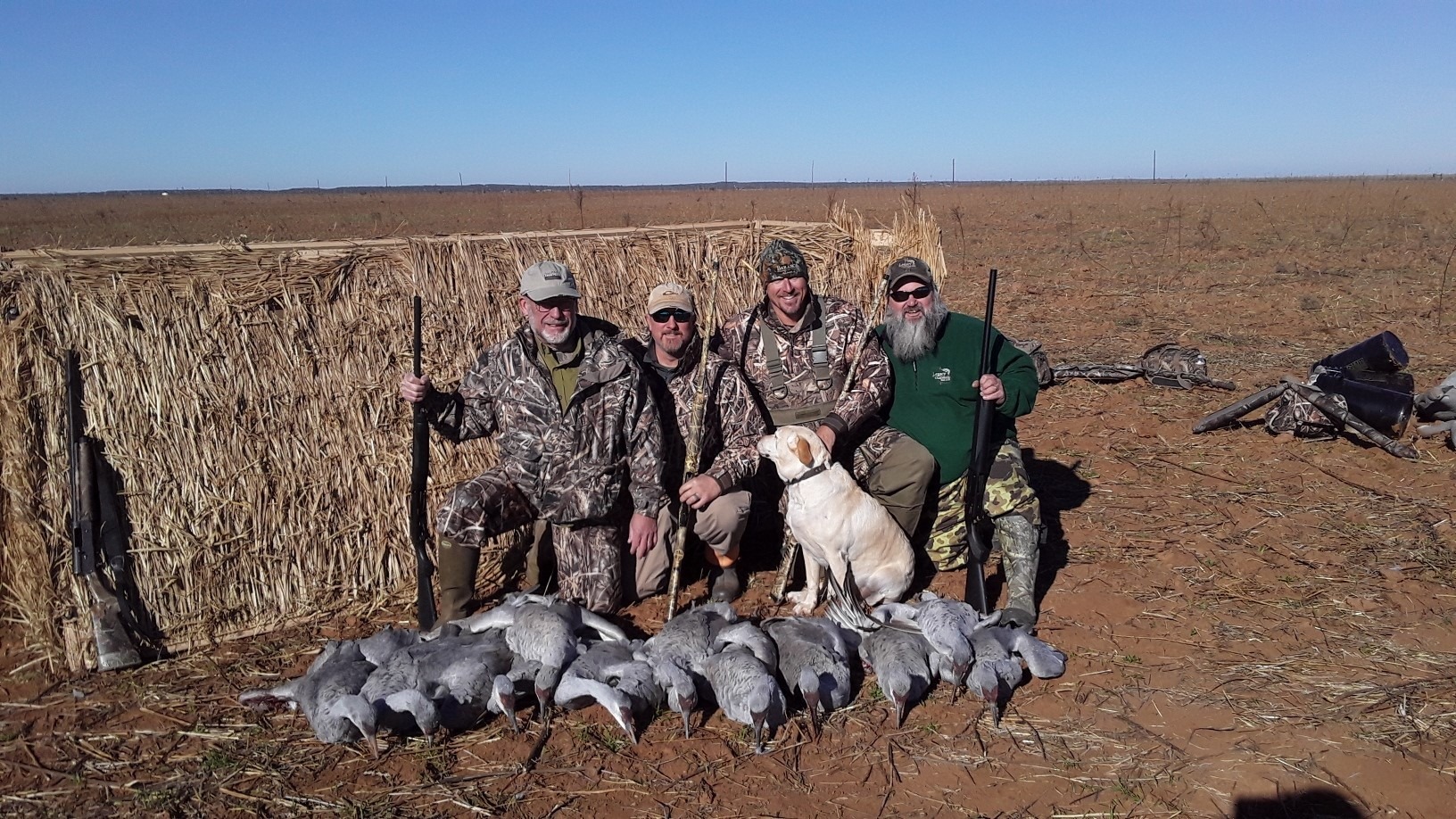 The 11 Best Sandhill Crane Hunting Guides in Texas